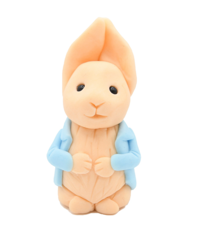 Rabbit with Blue Jacket Sugar Cake Topper – Windsor Cakecraft